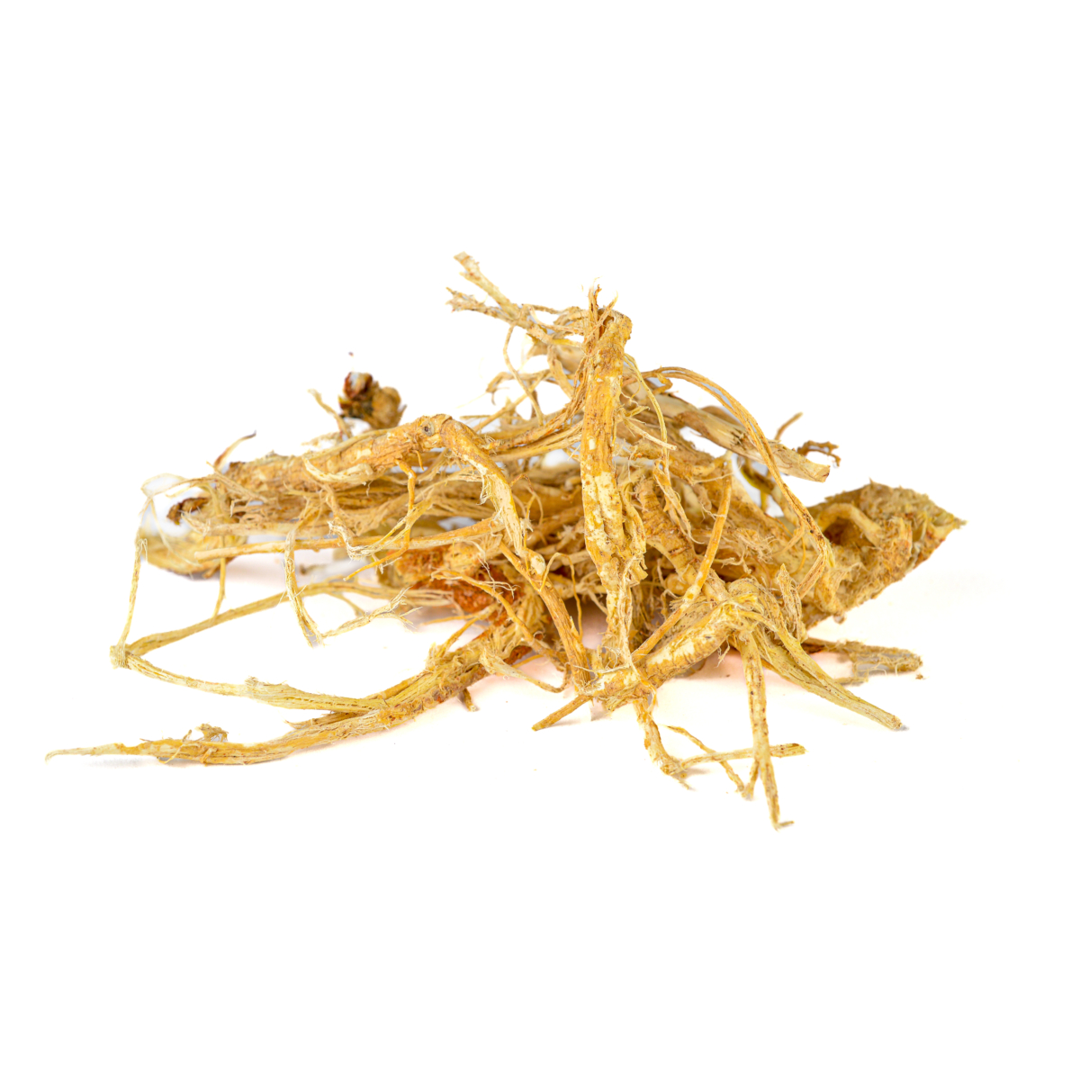 Astragalus Root - Oshala Farm
