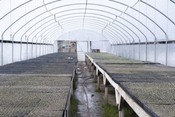 Blog - Oshala Farm