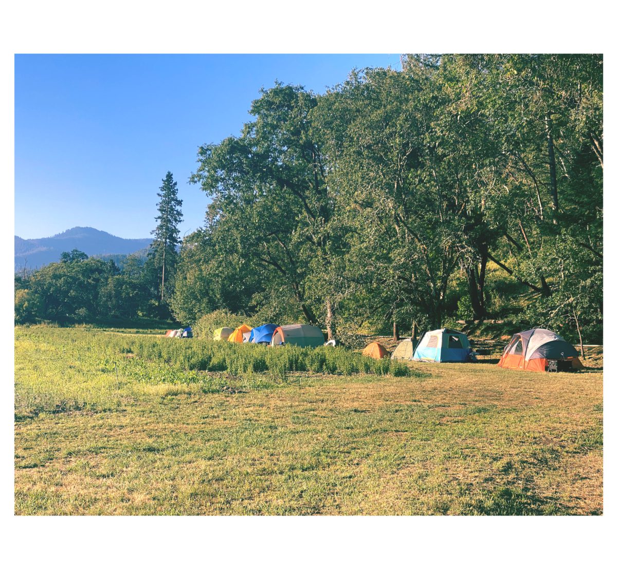 Events from July 5 – September 11 – Oshala Farm