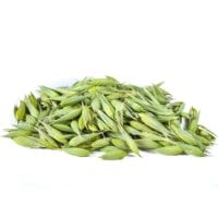 Oshala Farm - Sustainable, Organic Herbs from Applegate Valley, Oregon